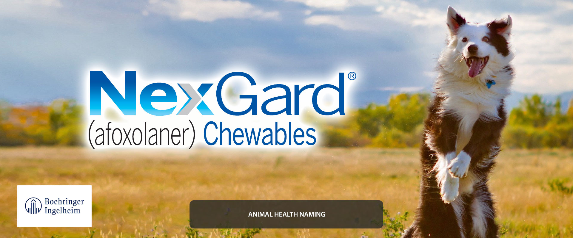 PHARMACEUTICAL BRAND NAMING | BRAND INSTITUTE | PRODUCT NAME ...